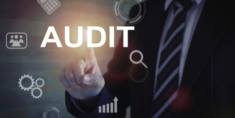 What makes a good audit? - Minerva-Manifest