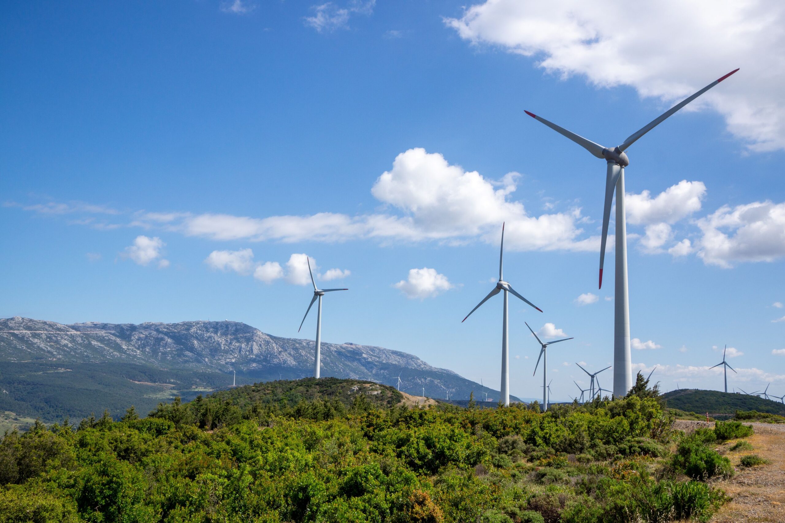 Energy giants accused of ‘land-grabbing’ for wind projects in Brazil ...